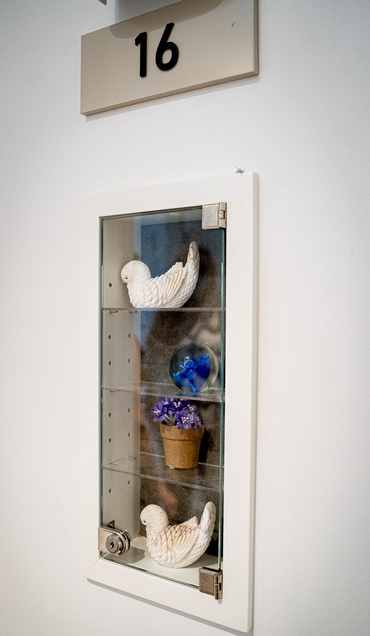 The Dementia Journey: A Family's Perspective - Kalyra